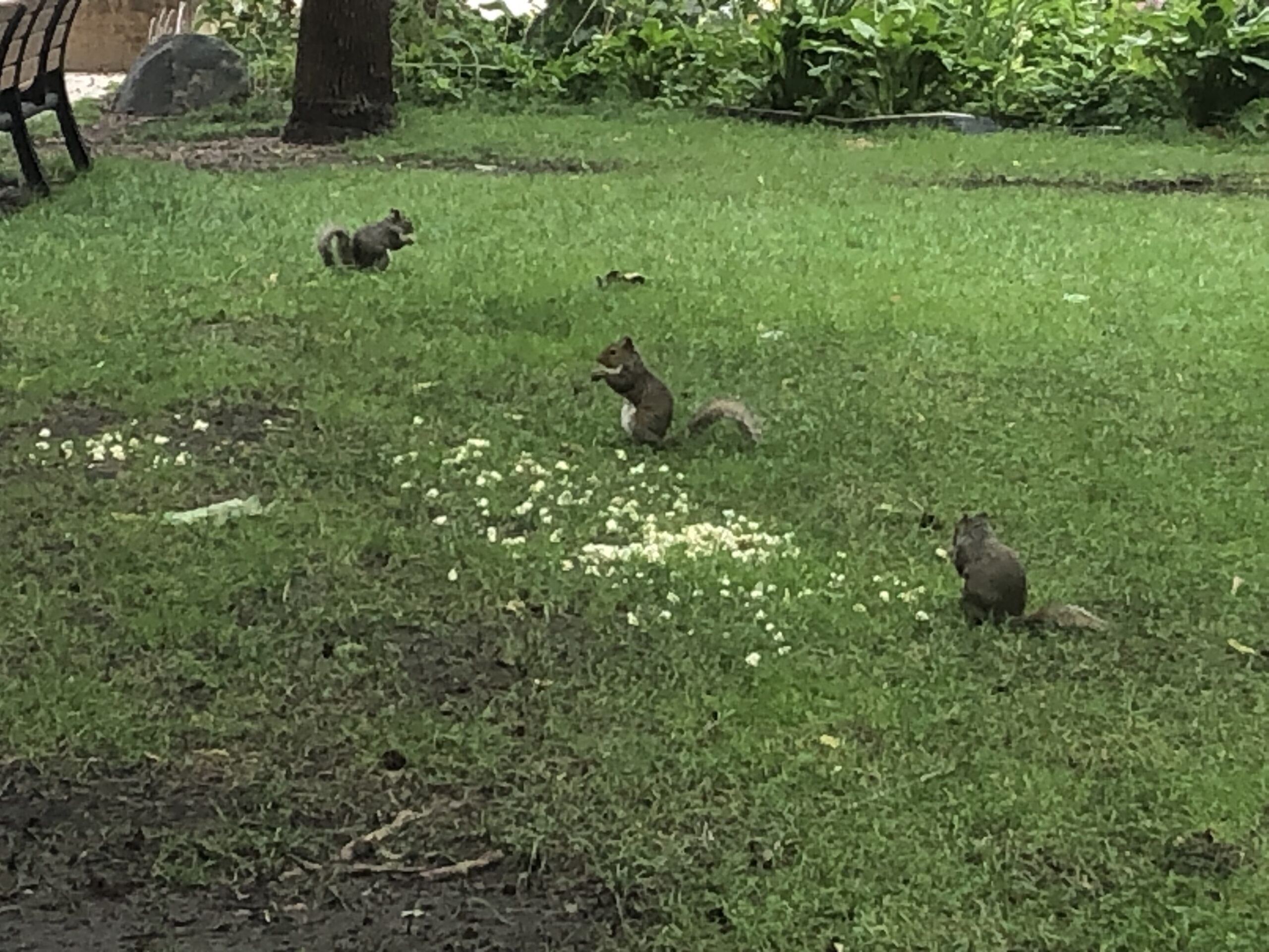 HH Play – The Plan